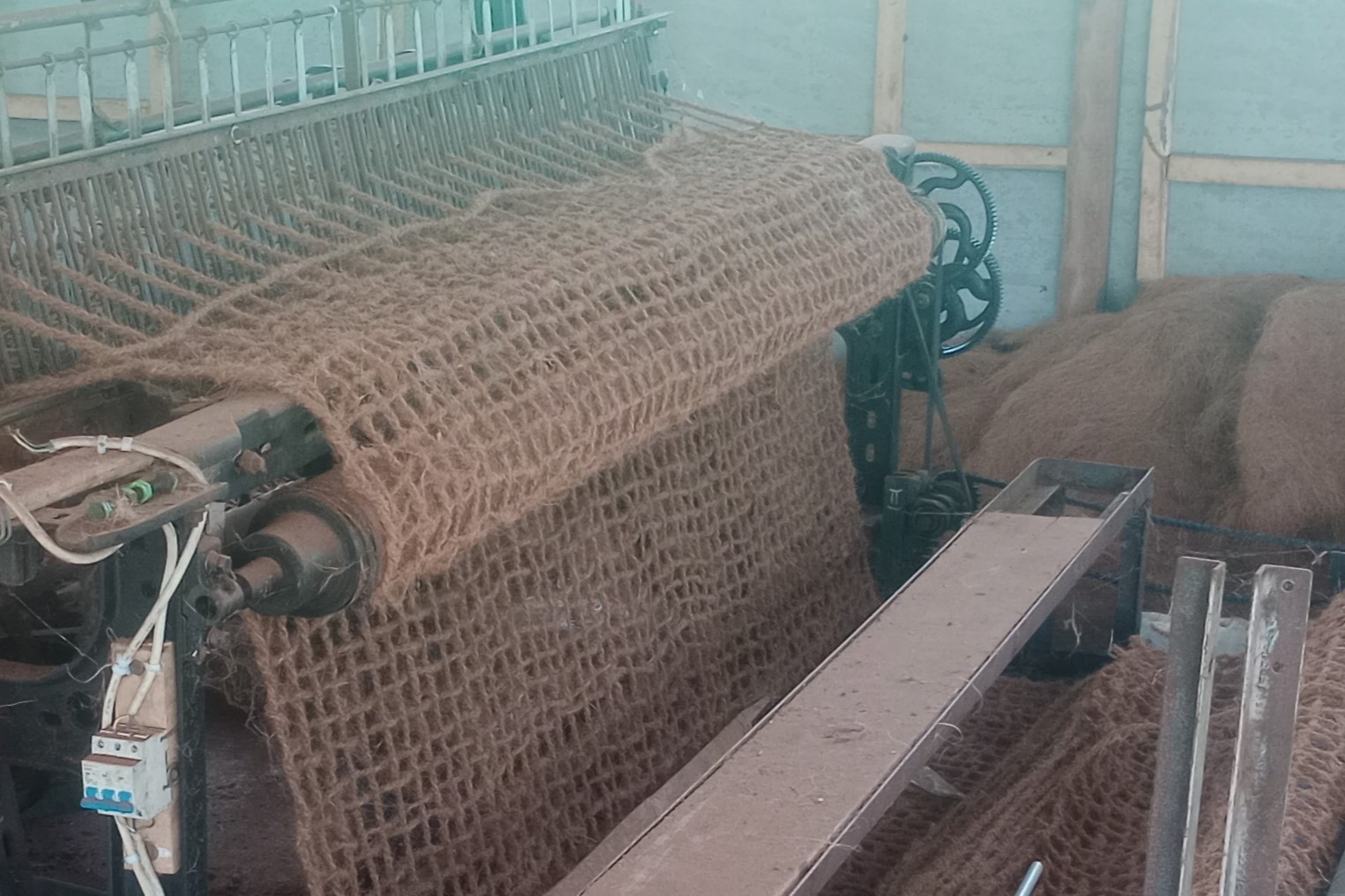 Gallery – Bimala Amica